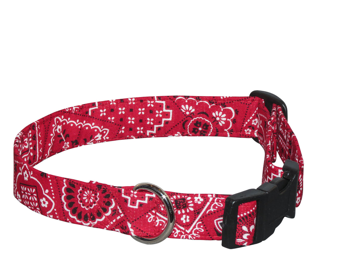 Elmo's Closet Rodeo Dog Collar – PupLife Dog Supplies