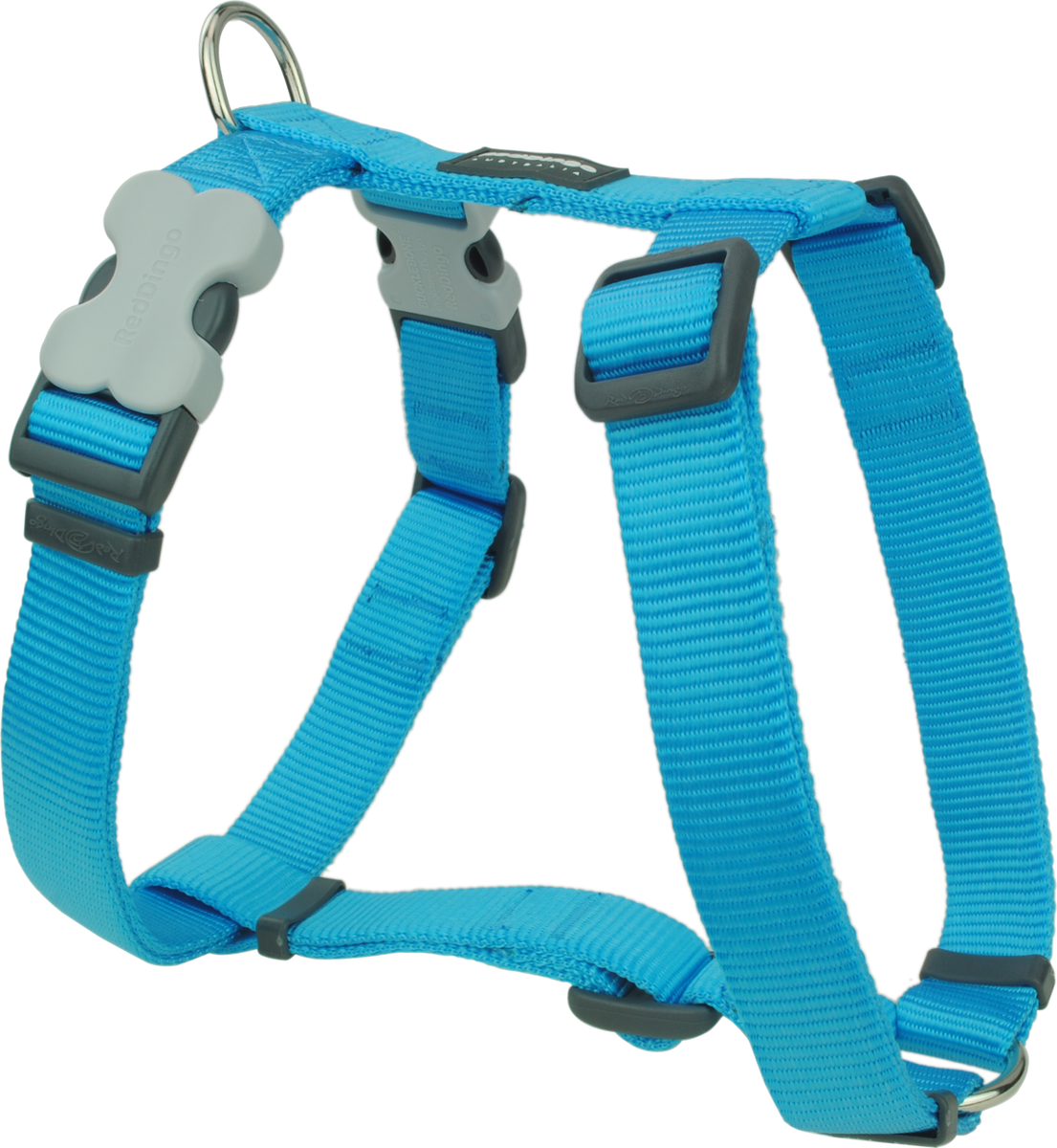 Red Dingo Classic Dog Harness - Turquoise – PupLife Dog Supplies